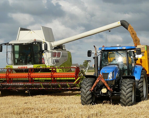 Harvest Innovation - Natura Aeterna